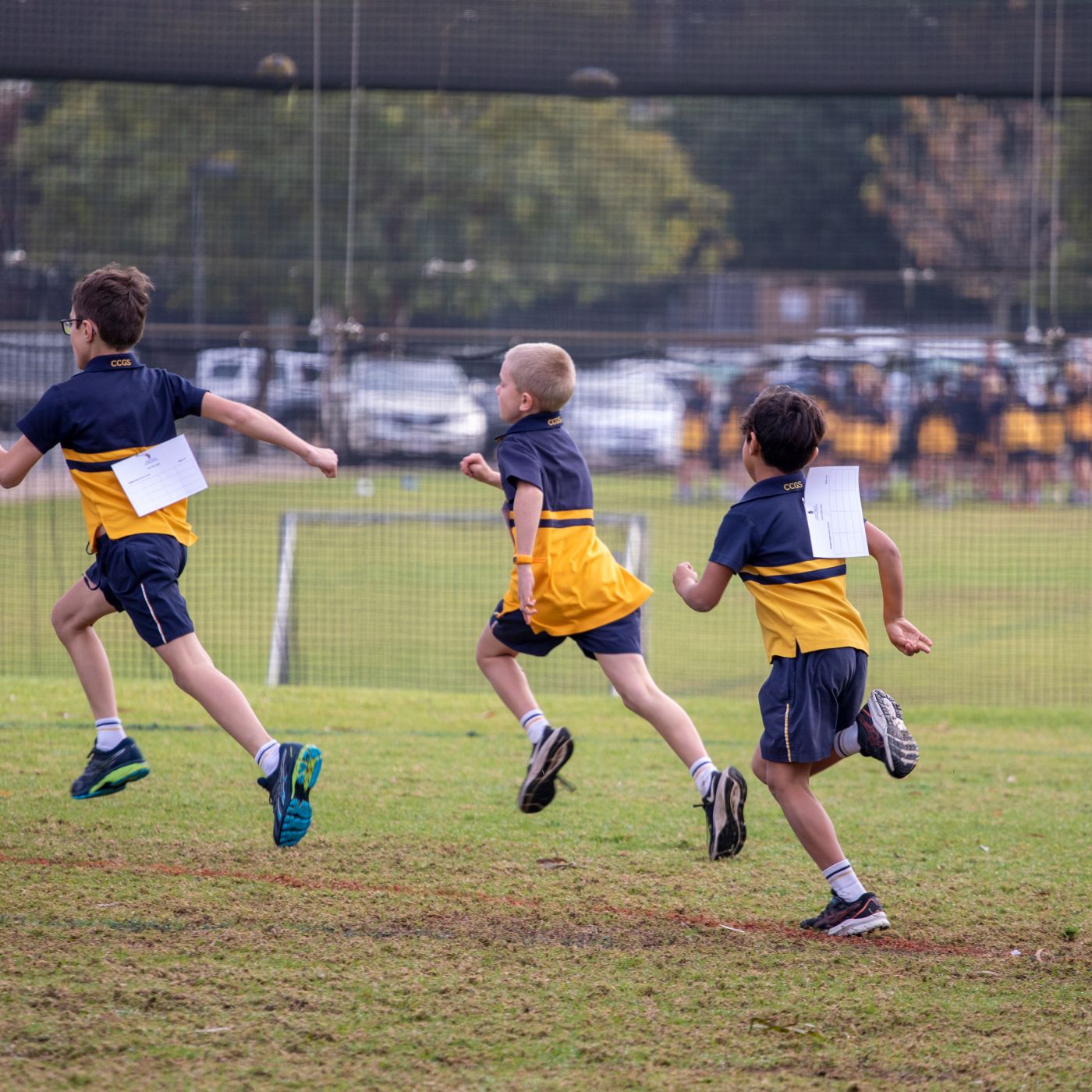 Homepage | Cambodian Children's Fund